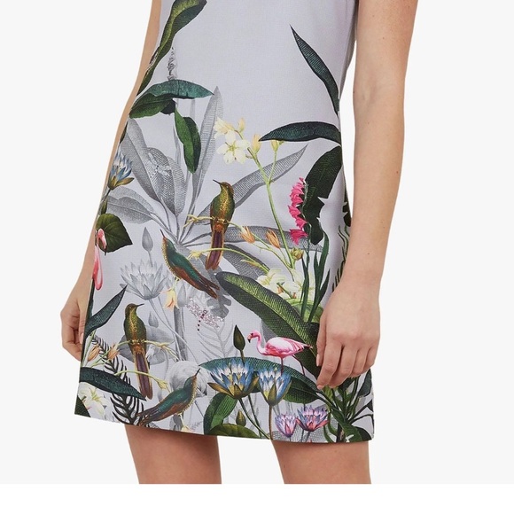 Ted Baker | Dresses | Ted Baker Light Grey Pistachio Cold Shoulder ...
